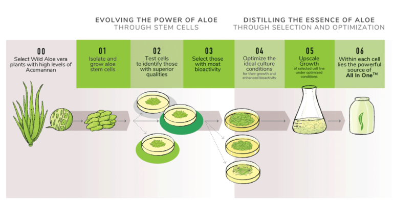 The Green Cell – All in One™ | stem cell extract