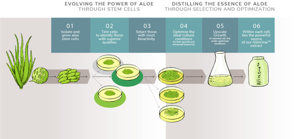Plant + Science - The Green Cell